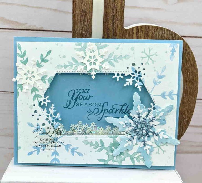 Snowflake Splendor shaker card - Bonnie Sanche - Stampin' Up! Demonstrator