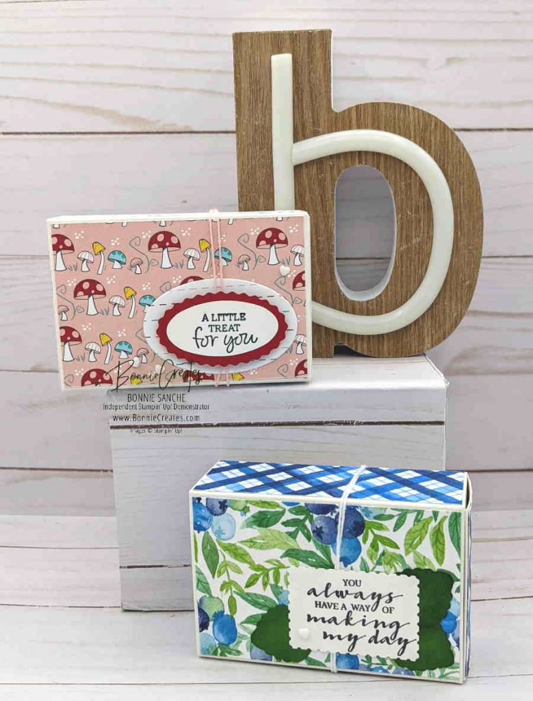 Snail Mail treat boxes - Bonnie Sanche - Stampin' Up! Demonstrator