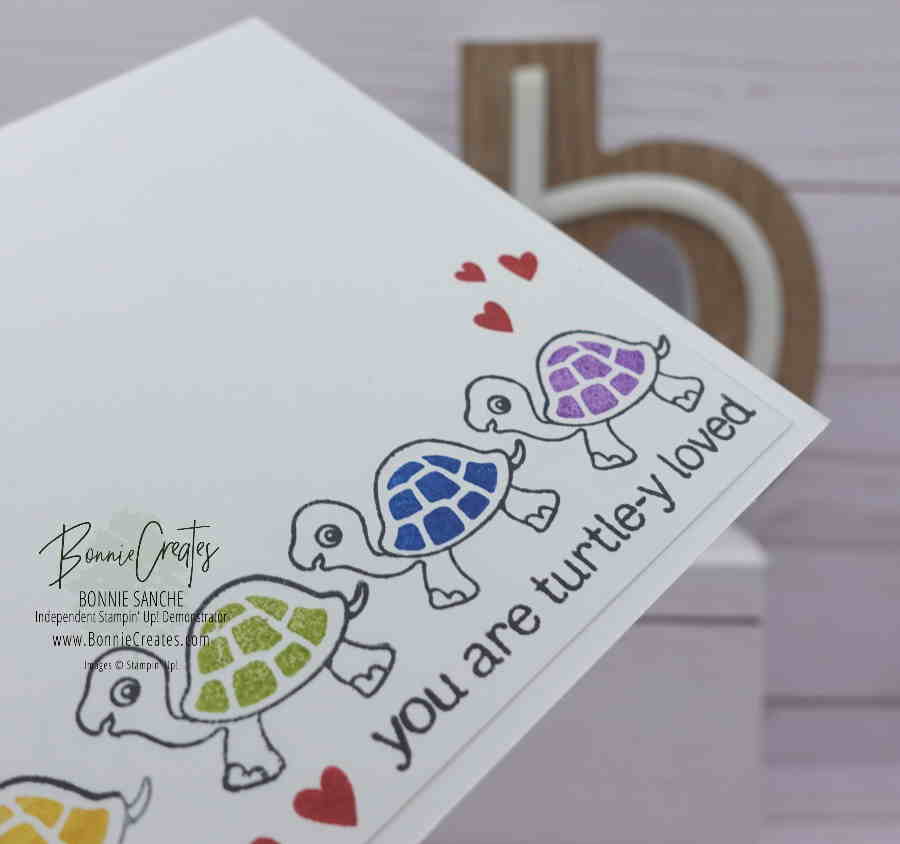 W.O.W. Turtle Friends - Bonnie Sanche - Stampin' Up! Demonstrator