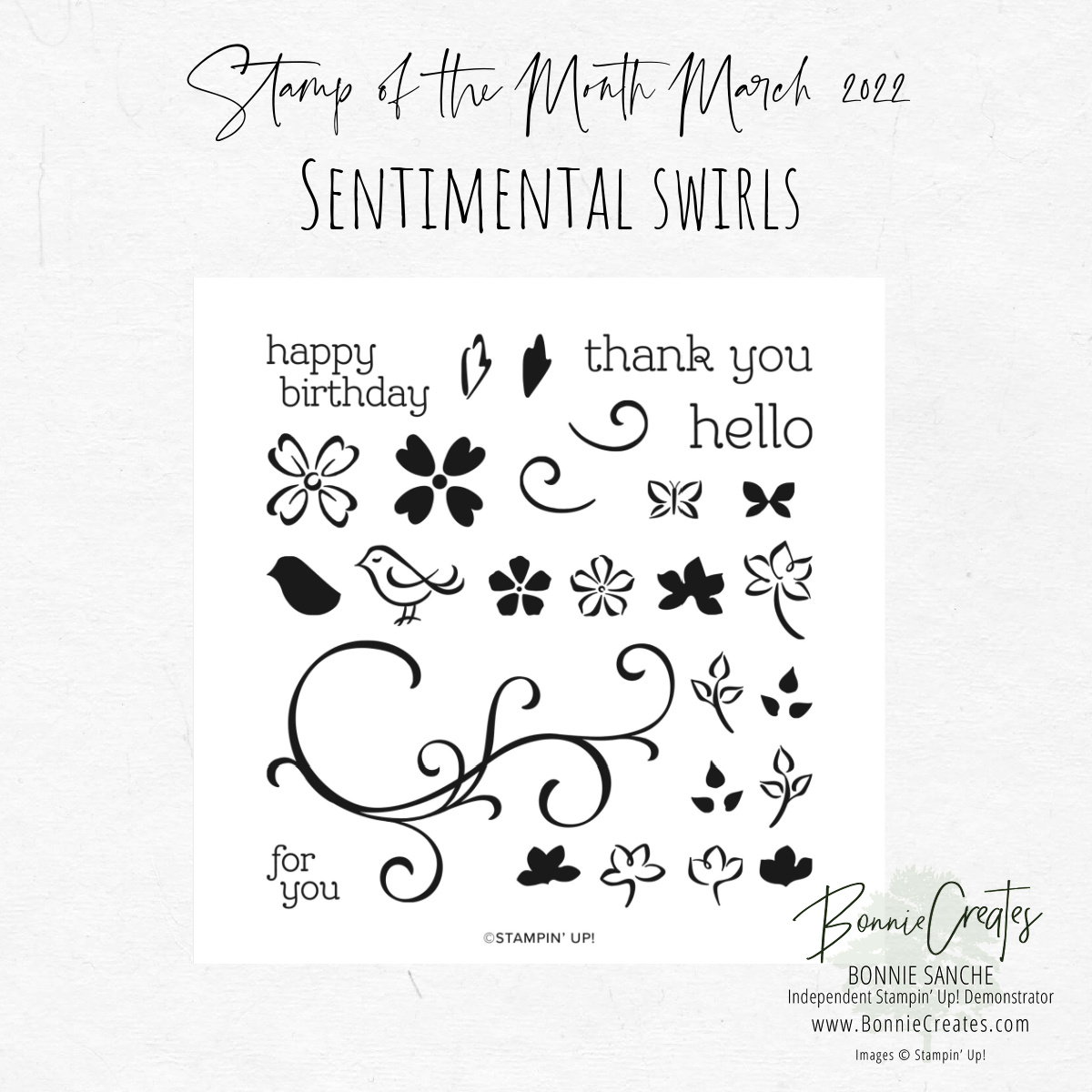 Sentimental Swirls Global Design Project #333 - Bonnie Sanche - Stampin ...
