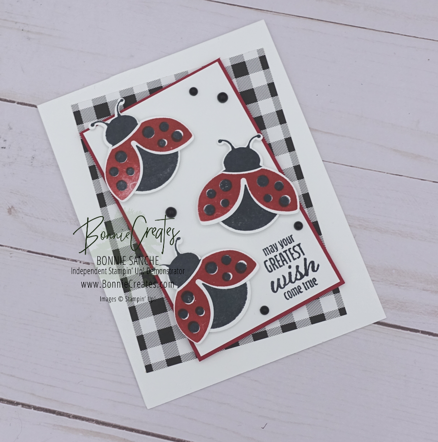 Creative Space: Hello Ladybug - Bonnie Sanche - Stampin' Up! Demonstrator