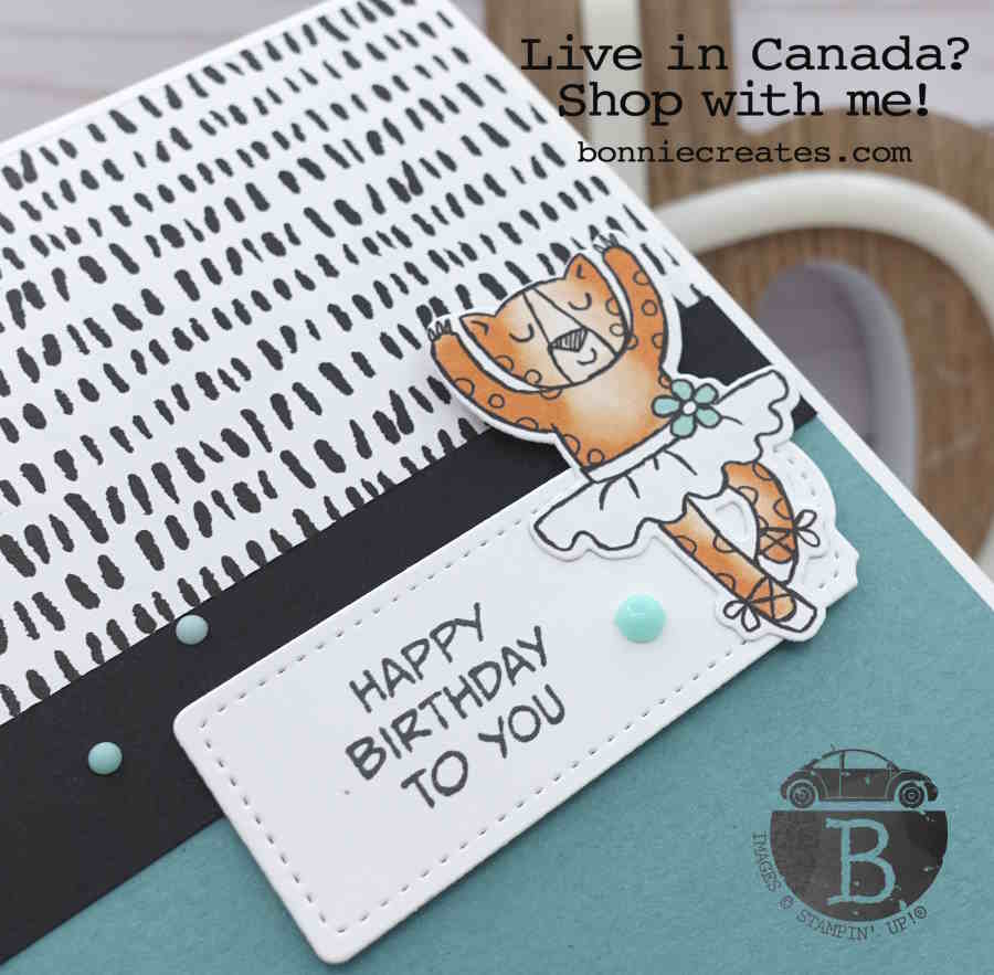 Zany Zoo easy birthday card - Bonnie Sanche - Stampin' Up! Demonstrator