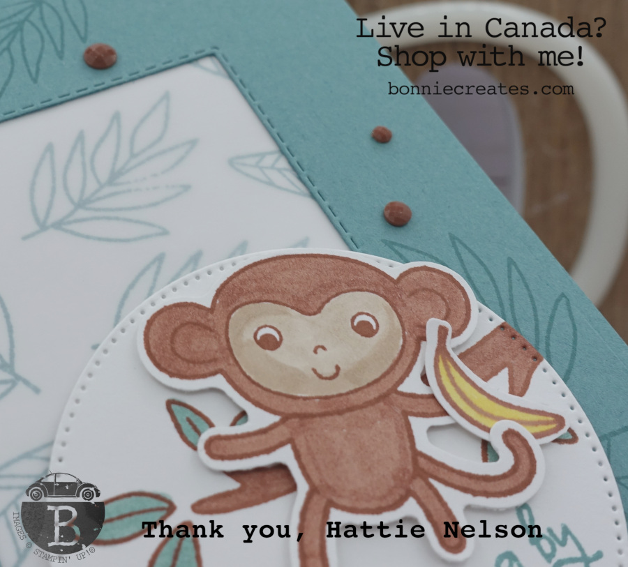 Swinging by to say Hi with a LIttle Monkey card - Bonnie Sanche ...