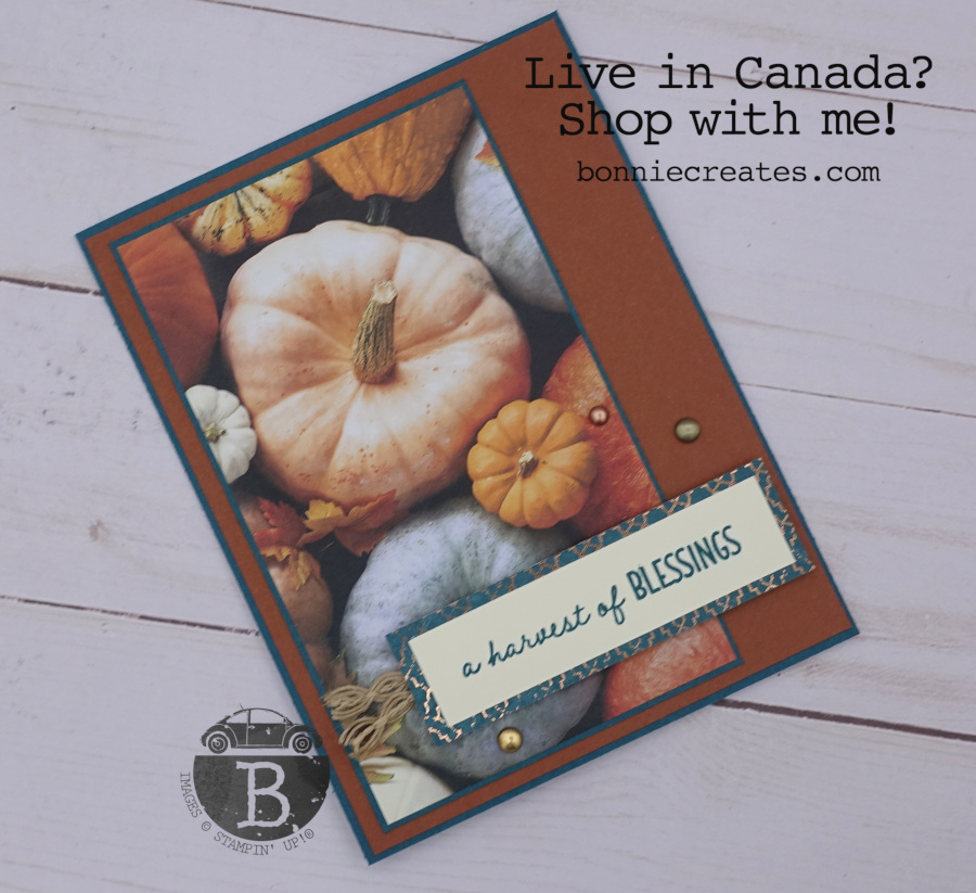 Pick of the Patch harvest of blessings - Bonnie Sanche - Stampin' Up ...