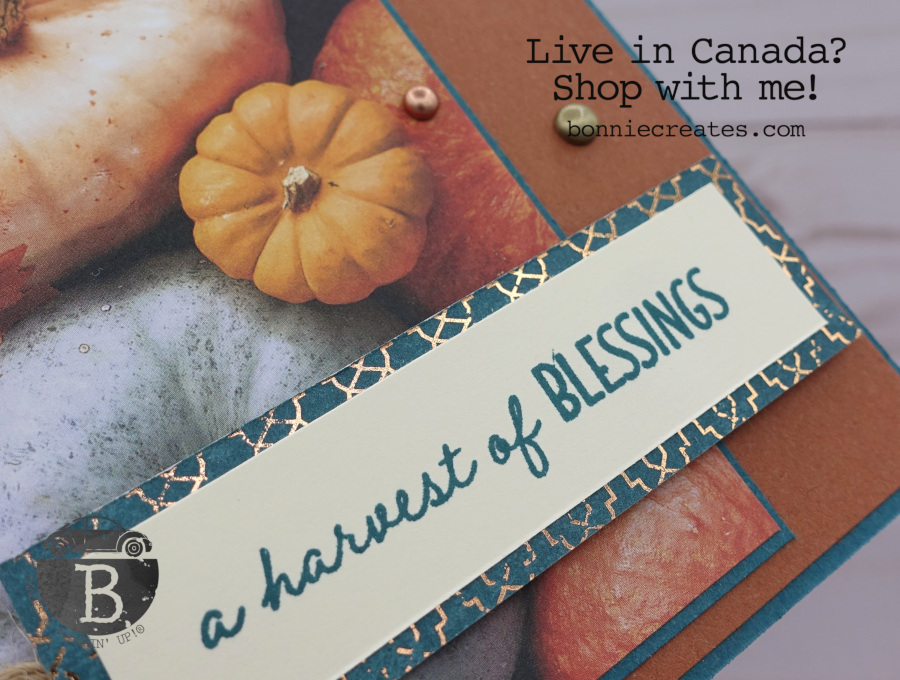 Pick of the Patch harvest of blessings - Bonnie Sanche - Stampin' Up ...